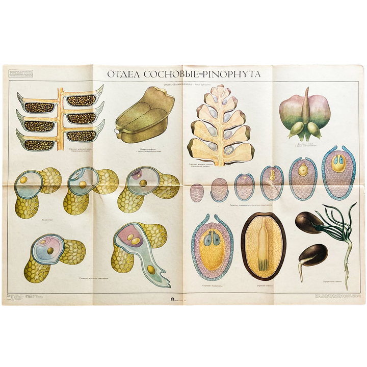 Art – Chamonix House