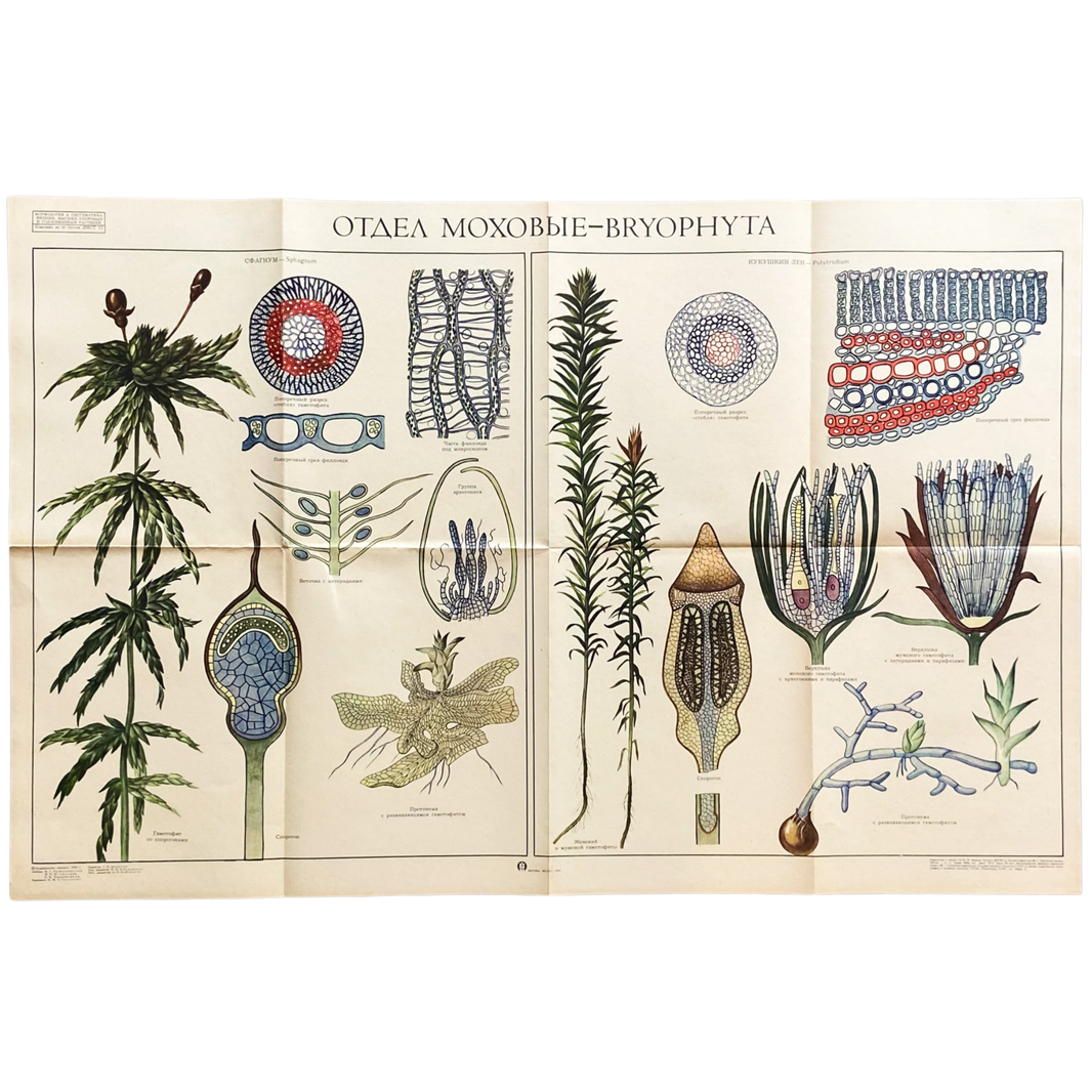 Art – Chamonix House