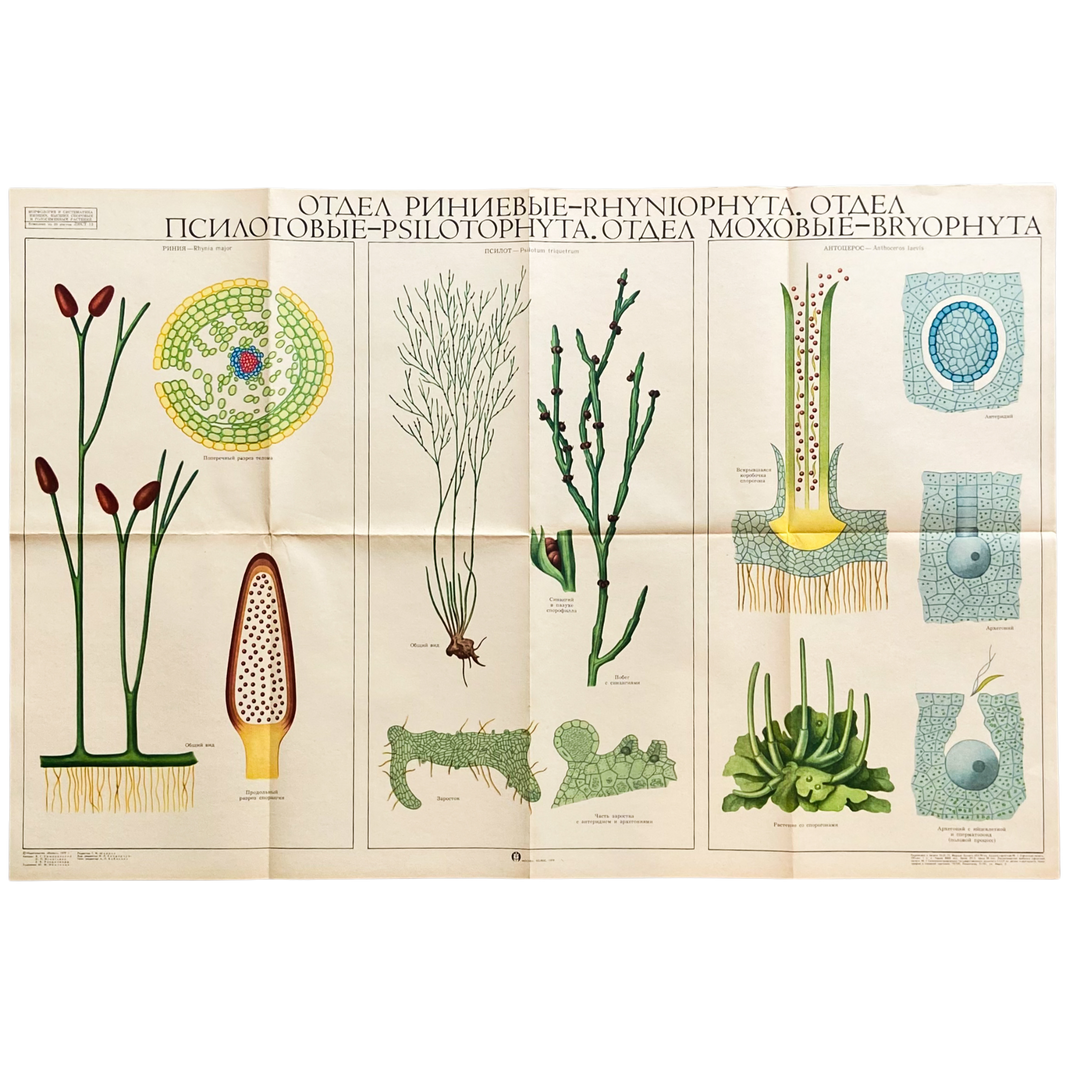 Art – Chamonix House