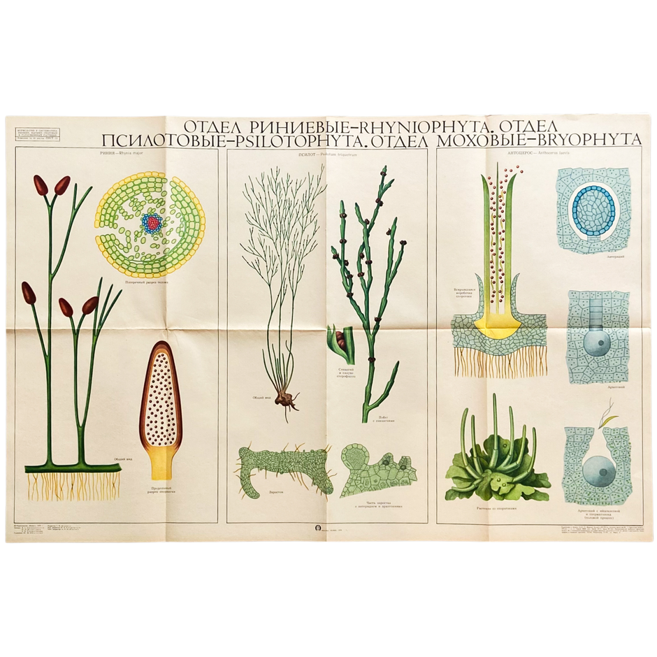 Art – Chamonix House