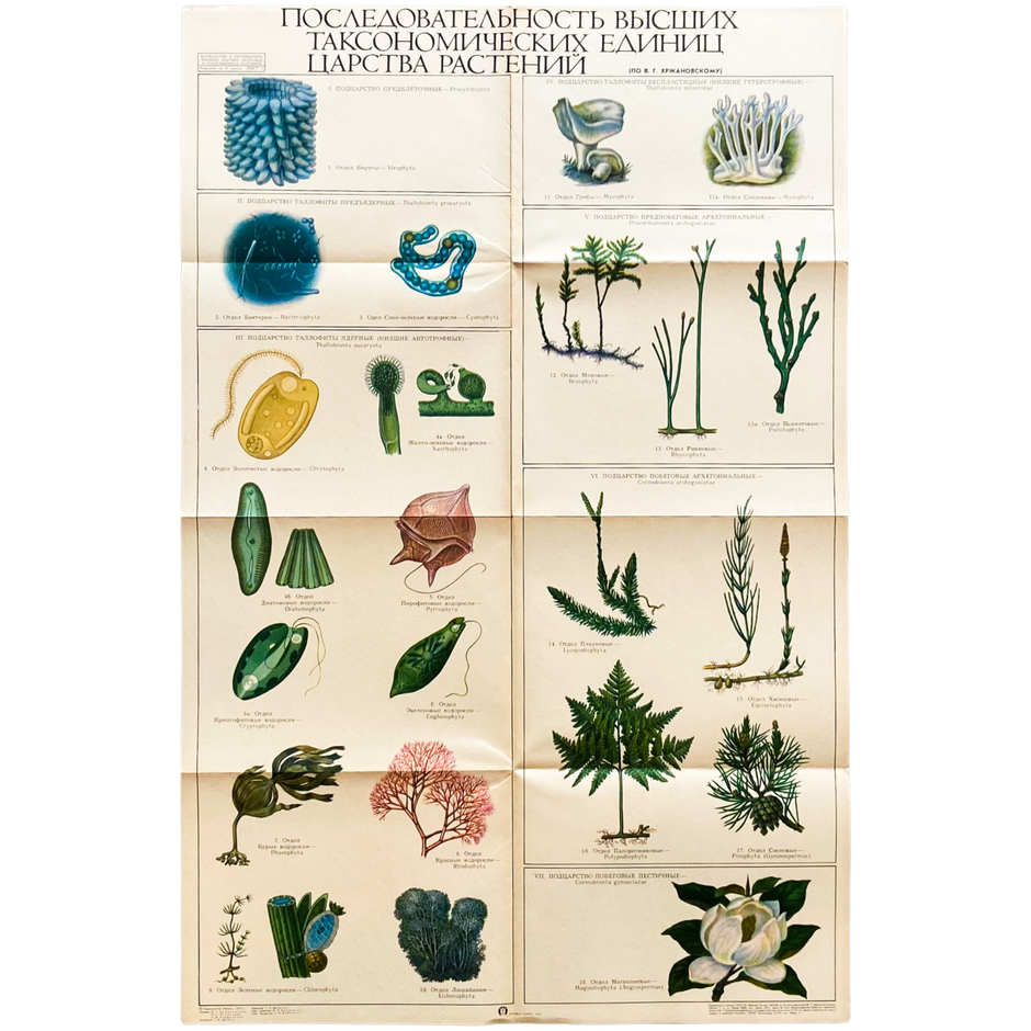 Art – Chamonix House