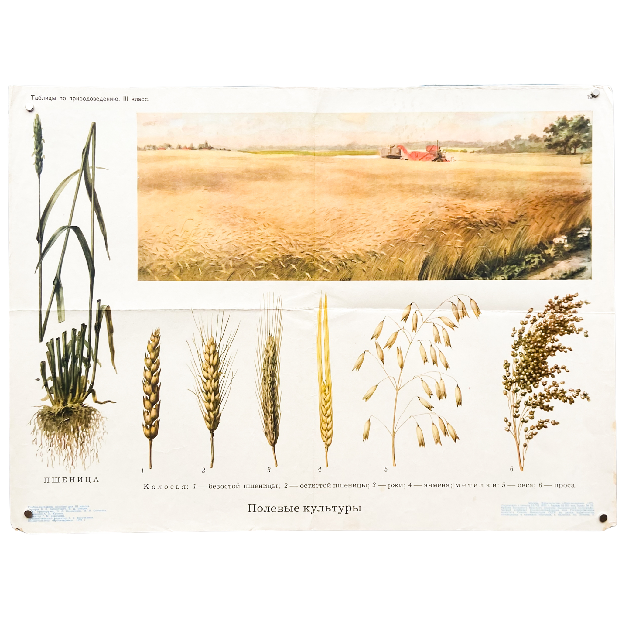 1973 Soviet Agriculture Education Poster #P2264 - 17" x 23" – Chamonix ...